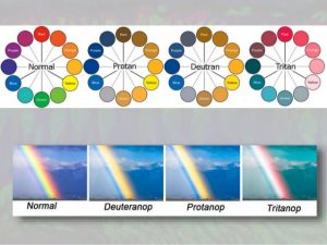 Protan Deutan Colour Blindness | Mild Deutan Protan Glasses | Colour ...