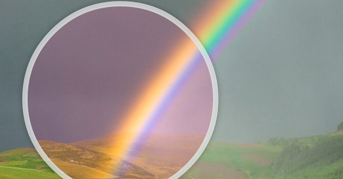 Seeing the World in a New Hue: The Transformative Benefits of iRo ...